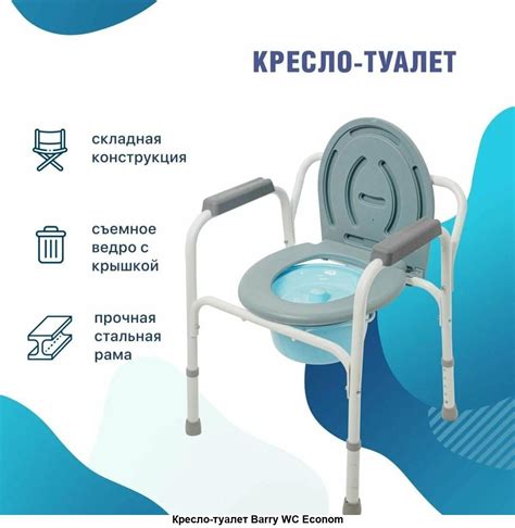 Стул унитаз (66 фото) - красивые картинки и HD фото