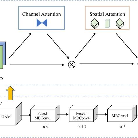 Gam Efficientnet Architecture Conv Represents Convolution Pooling Is
