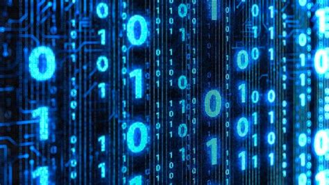 Best Computer Network Programming Courses And Certificates 2025