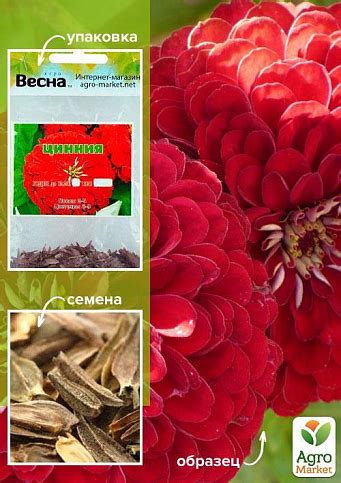 Цинния красная (Зипер) ТМ "Весна" 2г купить почтой в Одессе, Киеве ...