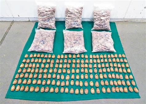 要聞港聞 東方日報