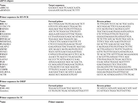 Sirna Target Sequences And Pcr Primer Sequences Download Scientific