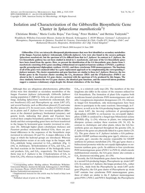 Pdf Isolation And Characterization Of The Gibberellin Biosynthetic Gene Cluster In Sphaceloma