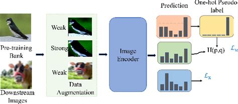 Figure 3 From Data Adaptive Traceback For Vision Language Foundation Models In Image