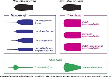What Is A Teg Lab Test At Antonio Parr Blog