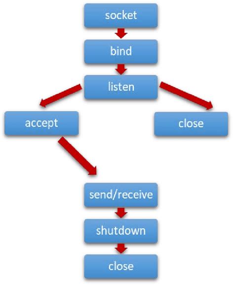 Tcp Socket Server Phases Download Scientific Diagram