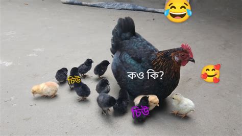 First Volg With Murgir Baccha Cute 🥰 Youtube