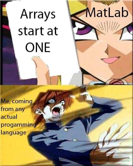 matlab pls r programmerhumor