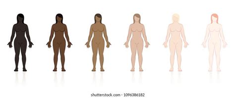 Skin Types Six Naked Women Different Stock Vector Royalty Free Shutterstock