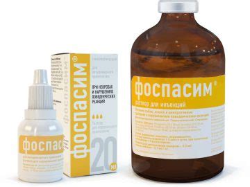 Собаки - Helvet.ru