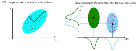 Stochastic Gradient Descent Vs Gradient Descent — Exploring The Differences By Seshu Kumar