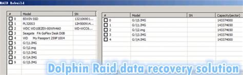Dolphin Raid Data Recovery Solution Raid 5 Data Recovery Case Dolphin Data Lab