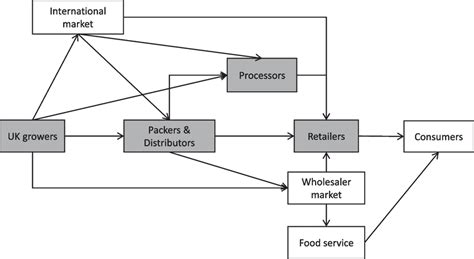 Schematic Representation Of Key Actors In The Uk Potato Supply Chain