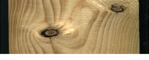 Figure 3 From A Large Scale Image Dataset Of Wood Surface Defects For