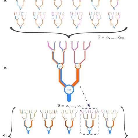 Schematic Illustration Of How A Multiple Decision Trees Are Combined Download Scientific