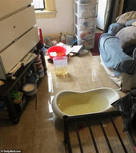 Nancy Pelosi S Son Is Embroiled In Fbi Bribery Probe Into San Francisco Official Daily Mail Online