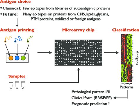 Overview Of Antigen Microarray Principles Interesting Antigens Are Download Scientific Diagram