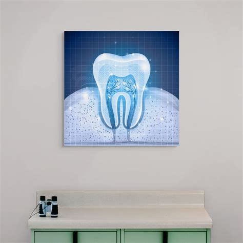 Шүдний бүтэц