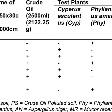 Experimental Set Up For Phytoremediation Of Crude Oil Polluted Download Scientific Diagram