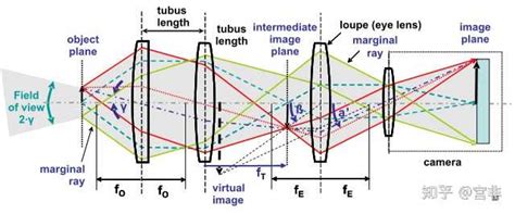 望远镜和显微镜有什么本质上的区别？ 知乎