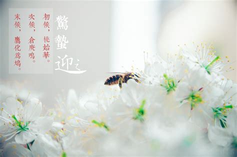 惊蛰是什么日子惊蛰象征着什么 华易网