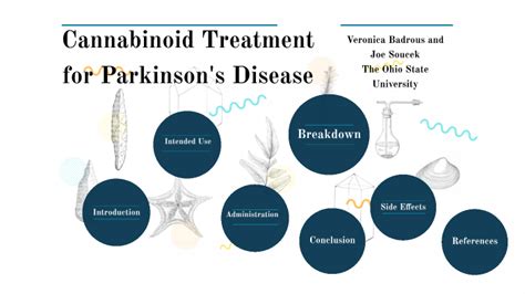 Cannabinoid Treatment For Parkinsons Disease By Veronica Badrous On Prezi