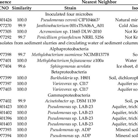 Isolated Microbes Bacterial Identification By Partial 16s Rdna Download Scientific Diagram