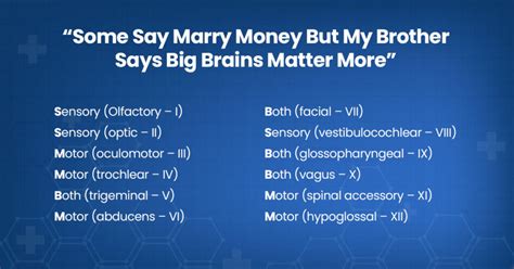 How To Remember Cranial Nerves With Mnemonics
