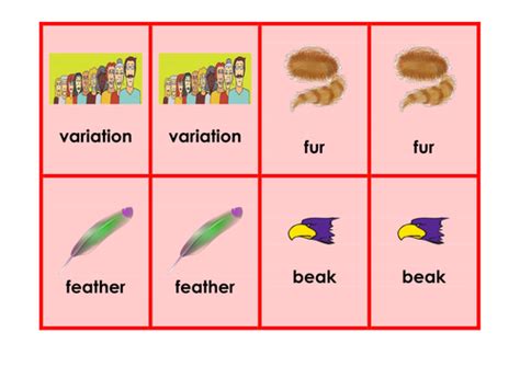 Variation Science Keyword Activities Resources And Displays