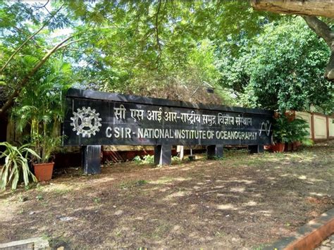 Mohit Patel On Linkedin Hi Connections Im Excited To Share That I