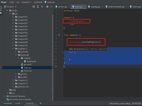goland去掉gopath，用go module编译配置go项目 如何去除gopath 让go get下载到当前项目目录下面 csdn博客
