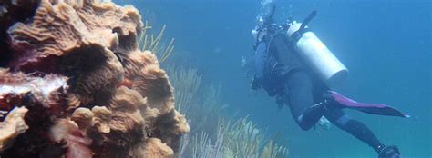Noaa Coral Reef Conservation Program Crcp Home Page