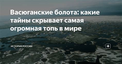 Васюганские болота какие тайны скрывает самая огромная топь в мире Филиал Карамзина Дзен