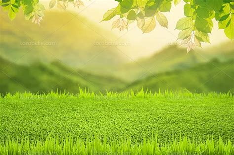 بک گراند عکاسی محصول چمن سبز گرافیک با طعم تربچه