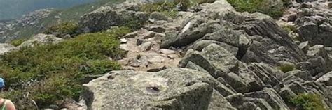 Hrbrmstr Dev On Bluesky