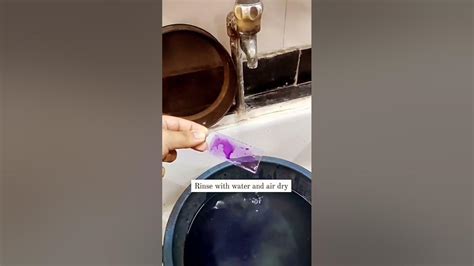 Gram Staining Steps Microbiology Lab Science Experiment Biology