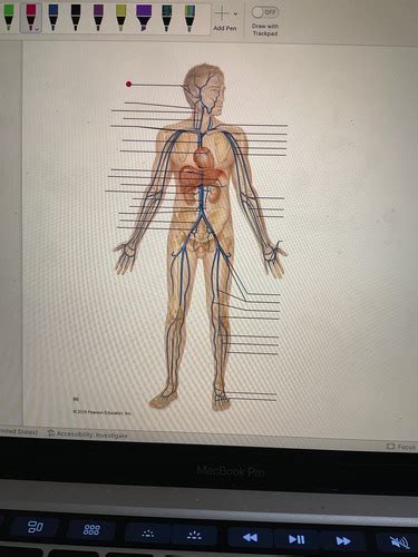 Lab Exam 2 Flashcards Quizlet