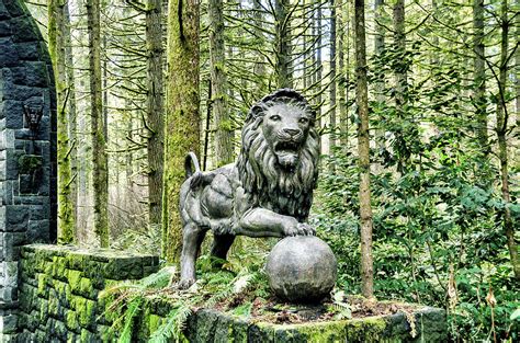 Oculus Anubis Damascus Oregon Photograph By Jack Andreasen Fine Art America
