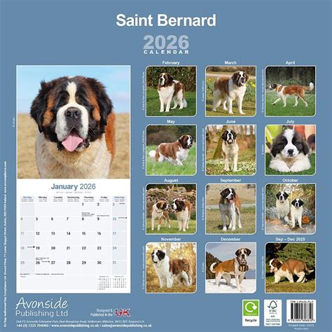 Saint Bernard Calendar 2026