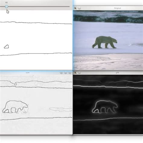 Opencv Alternatives And Similar Software