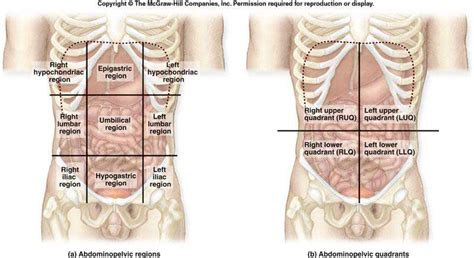 Abdominal Epigastric Region Pain After Eating Free Word Template
