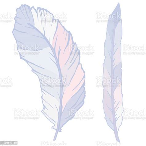 섬세한 파스텔 색상의 깃털 프리핸드 드로잉 흰색 배경에서 격리된 벡터 그림입니다 0명에 대한 스톡 벡터 아트 및 기타 이미지