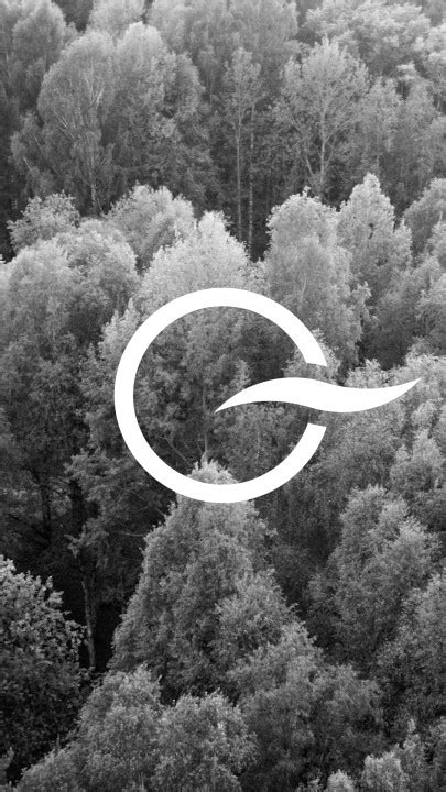 [video] Cecilia Devoto Posted On Linkedin