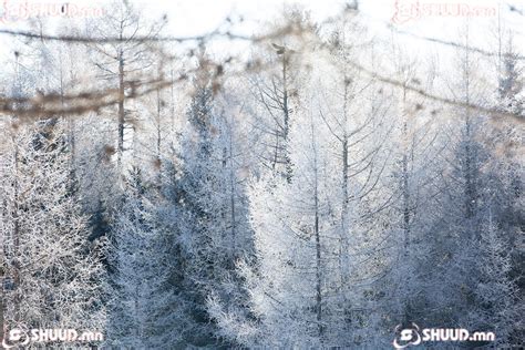 Хүйтний эрч чангарч 49 хэм хүрэхийг анхааруулж байна