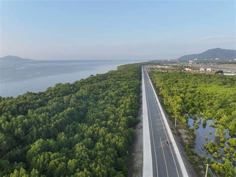 វិថីតេជោសន្តិភាពឆ្នេរអង្កោល ខេត្តកែប សុីសុីថាមស៍