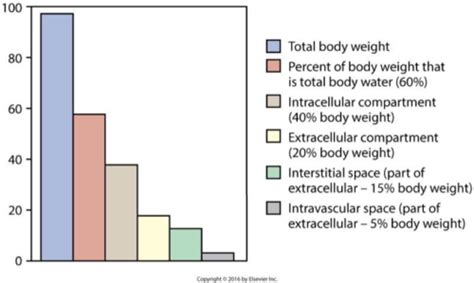 Fluid Therapy Flashcards Quizlet