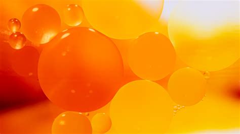 Qué Es La Grasa Parda Y Por Qué Es Tan Importante Infobae