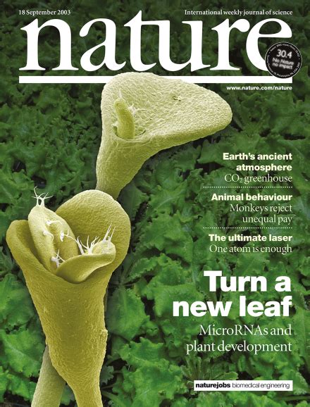 Volume 425 Issue 6955 18 September 2003