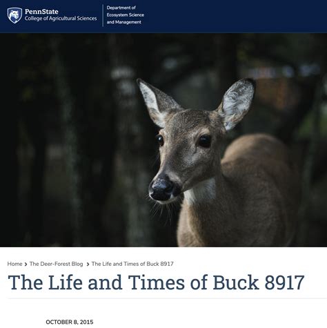 Deer Science And Weird Deer Stories Introduction To Environment