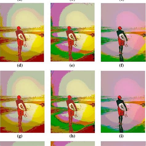 Flowchart Of The Csos Algorithm Download Scientific Diagram